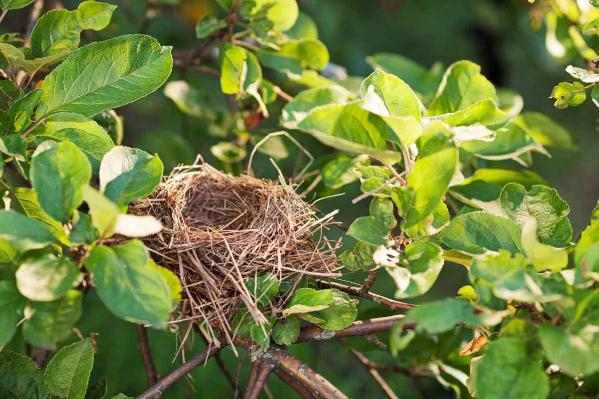 What an Empty Nester Wants in a New Home - Fine Line Homes